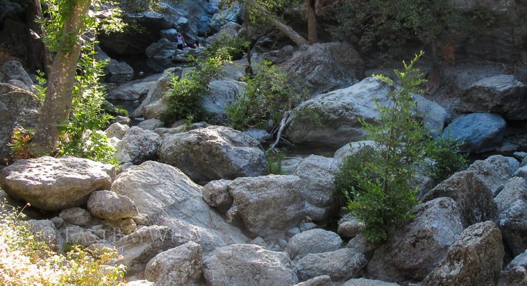 Sunol Regional Wilderness - Something for Everyone - East Bay Wild!