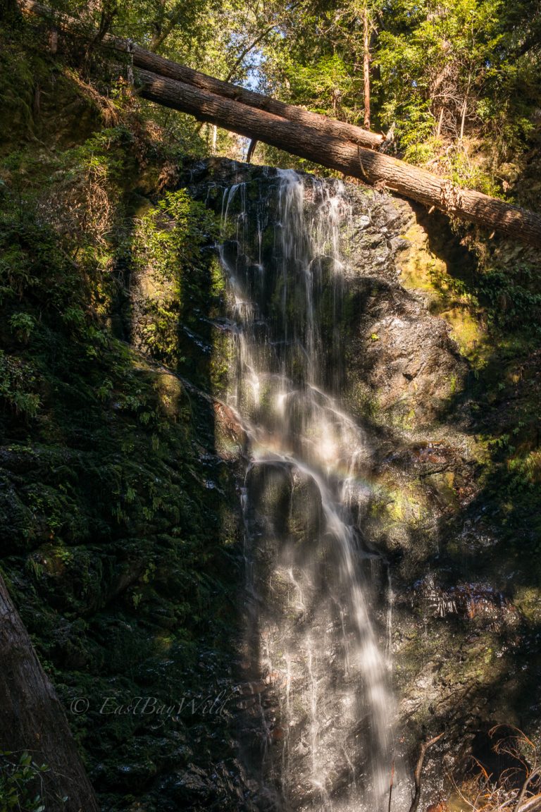 Big Basin Waterfalls - Berry Creek Trail - East Bay Wild!