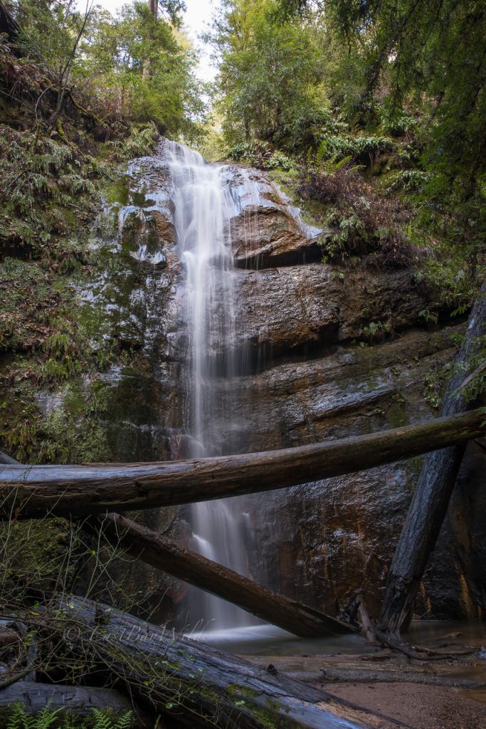Big Basin Waterfalls - Berry Creek Trail - East Bay Wild!