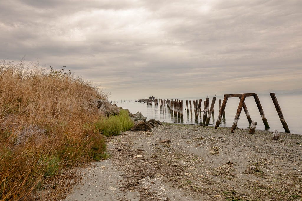 Point Pinole Regional Shoreline Hiking and Picnicking - East Bay Wild!