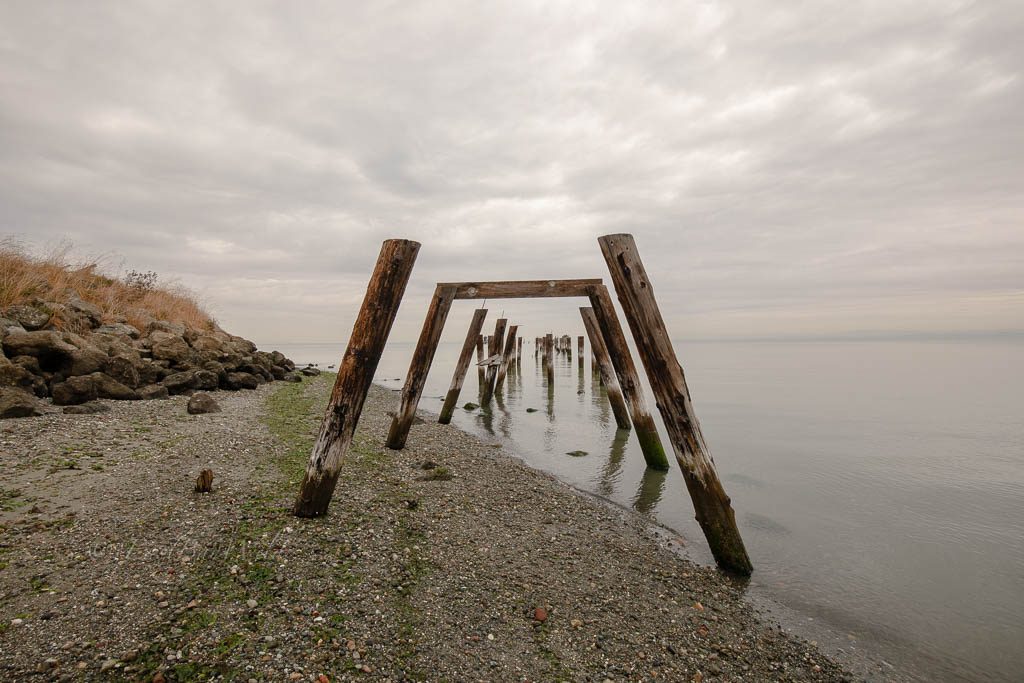Point Pinole Regional Shoreline Hiking and Picnicking - East Bay Wild!