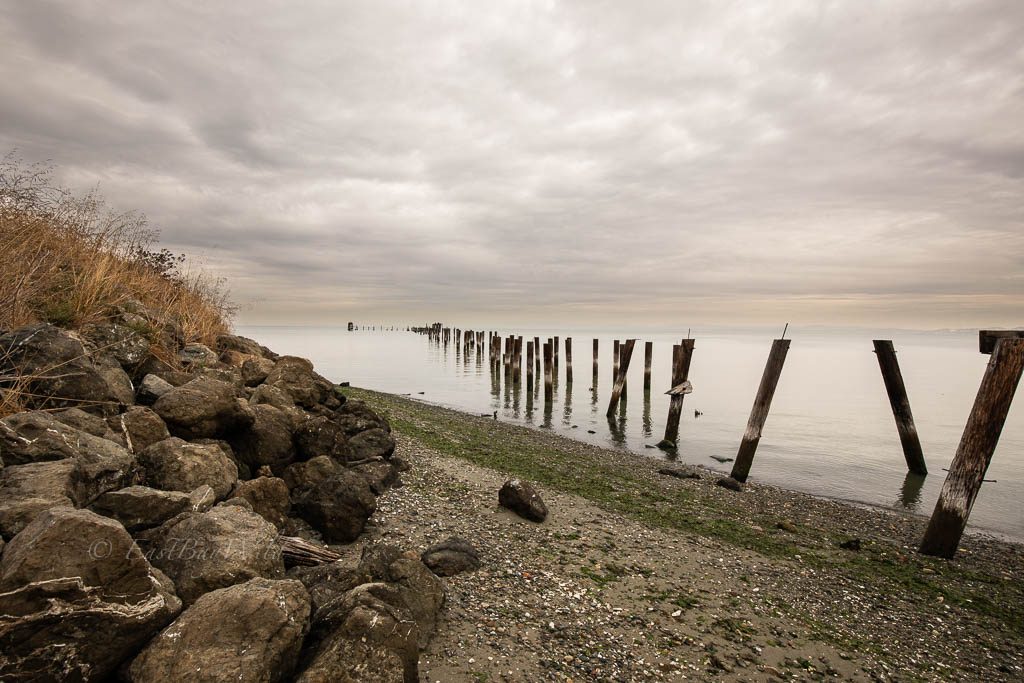 Point Pinole Regional Shoreline Hiking and Picnicking - East Bay Wild!